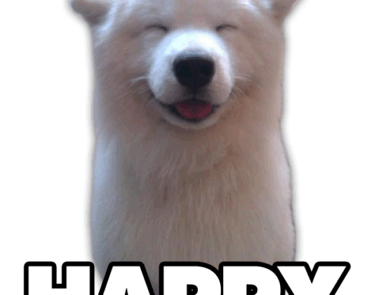 Happy Dog Gif Imgur